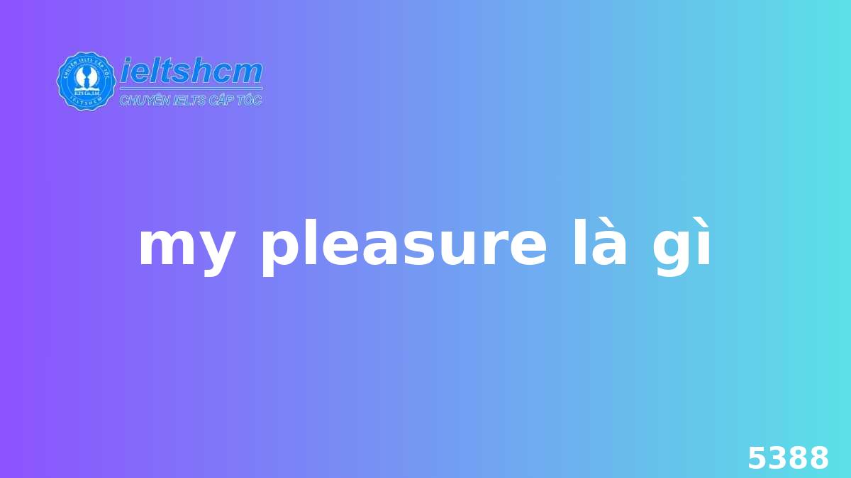 "My Pleasure" Là Gì? Thấu Hiểu và Sử Dụng Lời Cảm Ơn Lịch Sự Trong ...